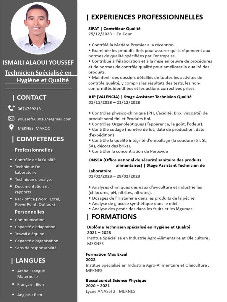 CV Ismaili Alaoui Youssef TL | PDF