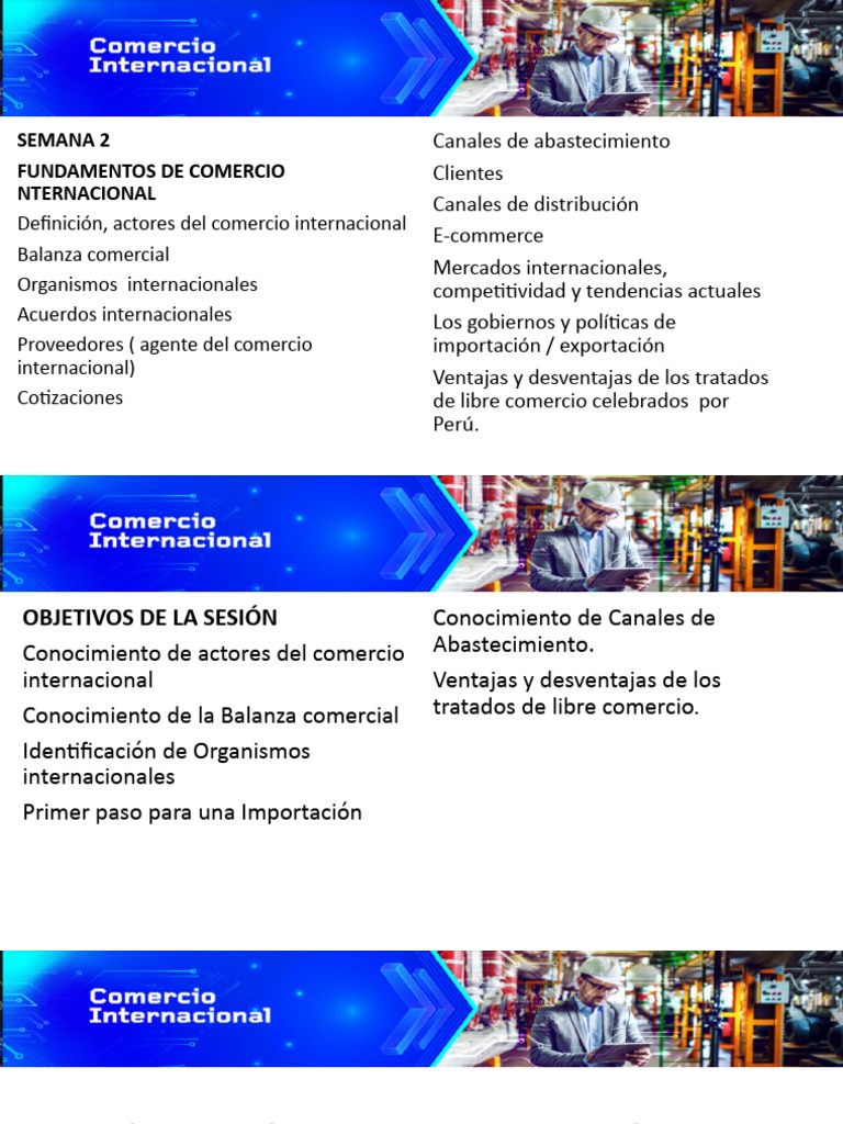 Comercio Internacional: Fundamentos y Actores | PDF | El comercio ...