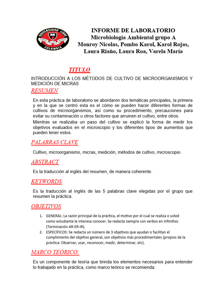 Formato Informe de Laboratorio Microbiología 2024 2 | PDF | Laboratorios | Color