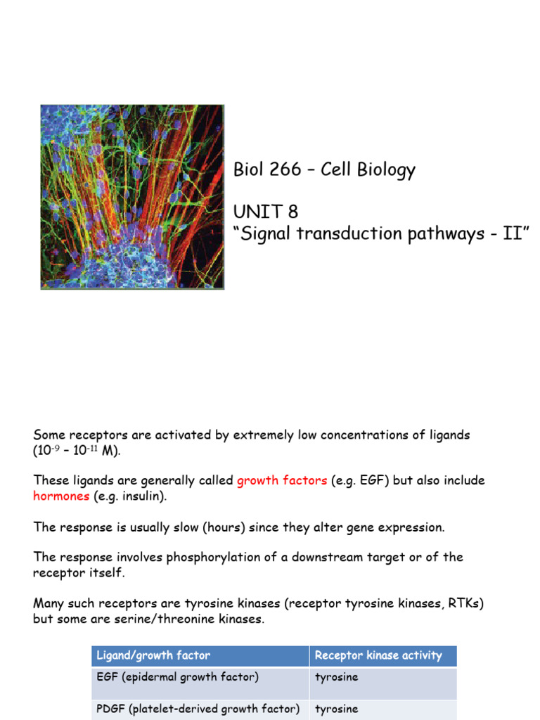 UNIT 8-2 | PDF | Kinase | Protein Kinase B UNIT 8-2 | PDF | Kinase | Protein Kinase B