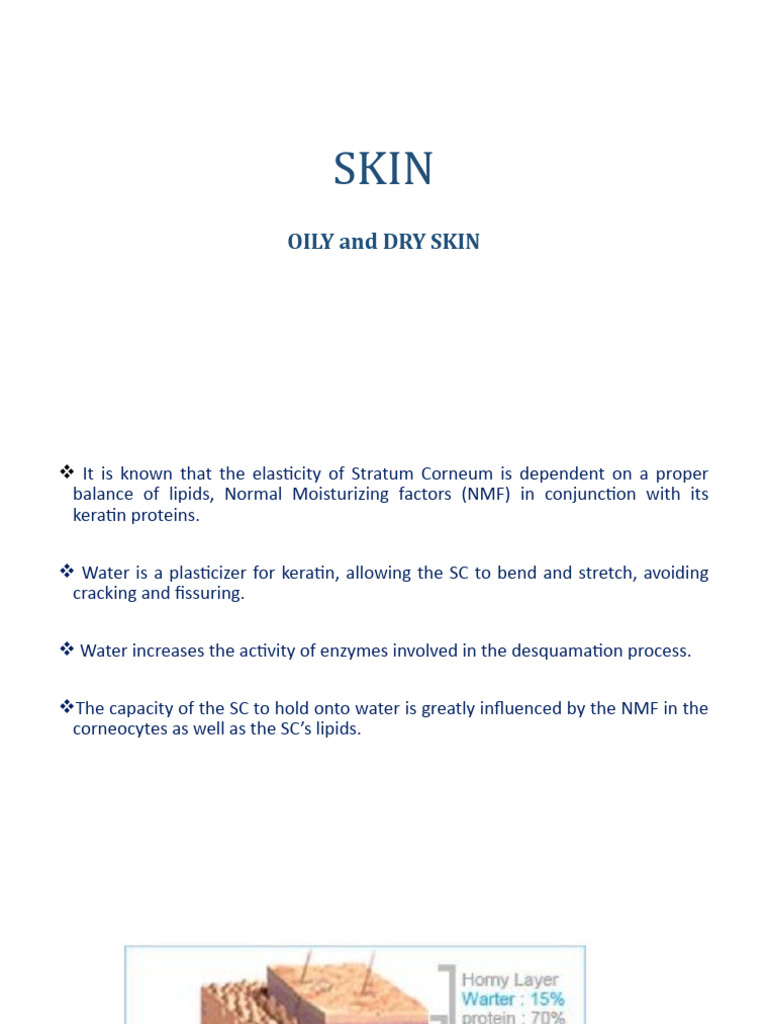 Oily and Dry Skin | PDF | Skin | Integumentary System