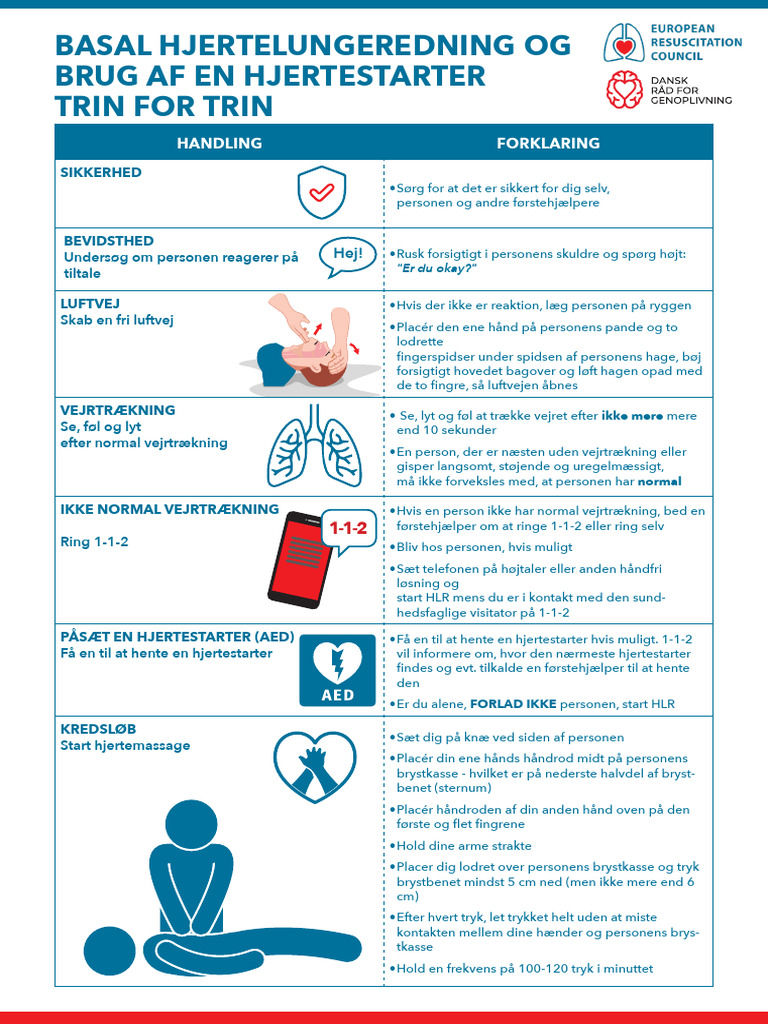BLS STEP BY STEP Algorithms Portrait - Vers3 | PDF