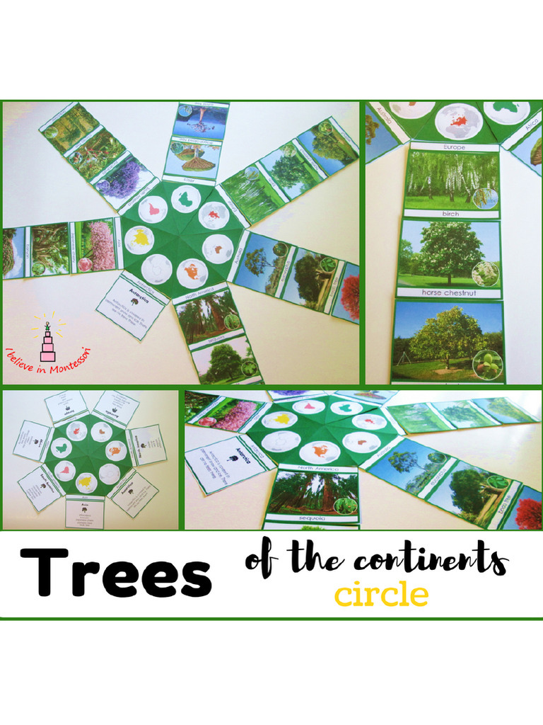 2 - Trees of The Continents Circle Cards Montessori | Download Free PDF ...