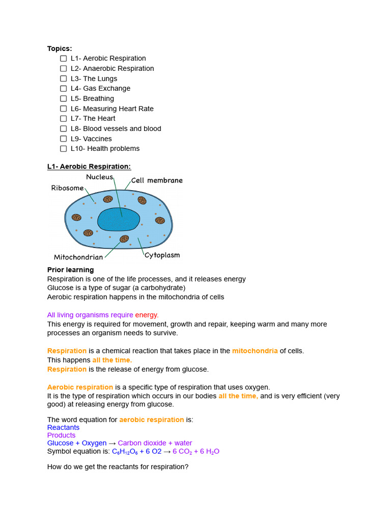 Respiration Science Assessment | PDF | Respiratory System | Lung