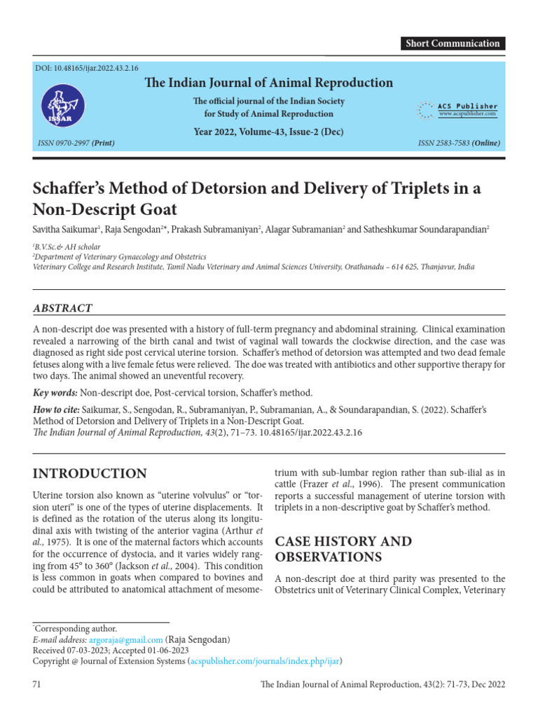 Schaffer's Method of Detorsion and Delivery of Triplets in A Non-Descript Goat | PDF | Vagina ...