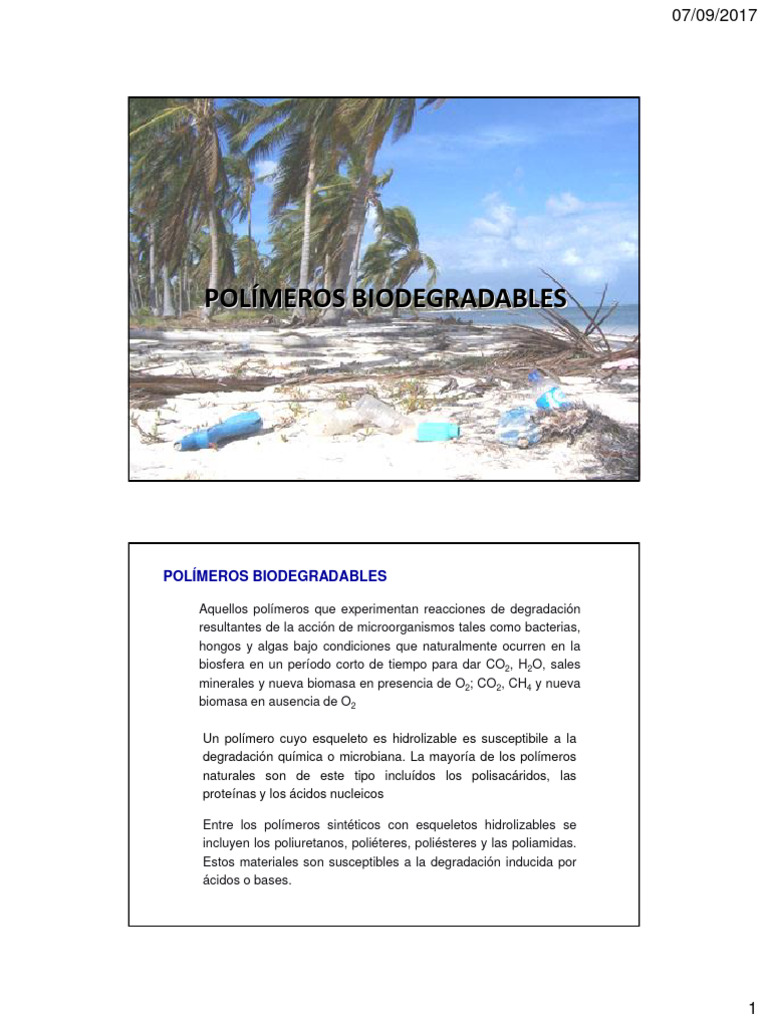 Polimeros Biodegradables | PDF | El plastico | Polímeros