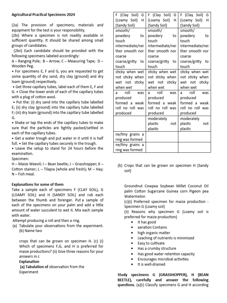 Agricultural Practical Specimens 2024 | PDF | Loam | Maize
