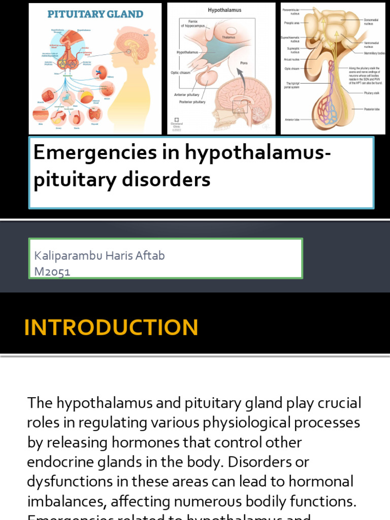 Aftab - Individual Work | PDF | Adrenal Gland | Adrenocorticotropic Hormone