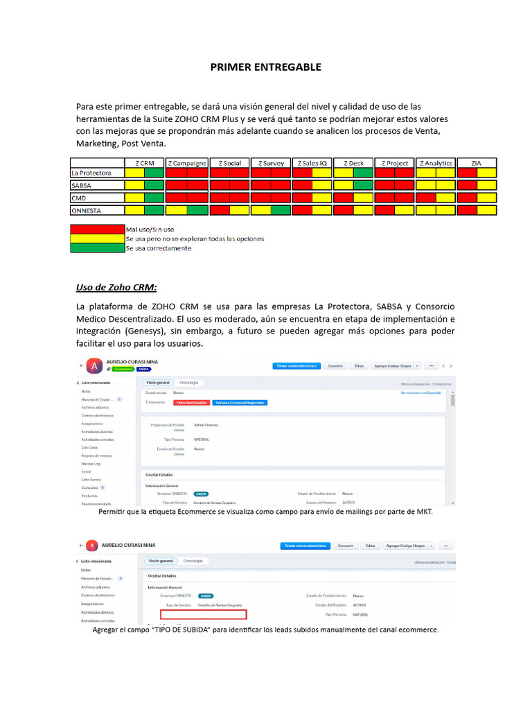 Primer Entregable | PDF | Comercio electrónico | Gestión de la relación con el cliente