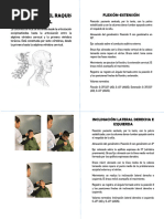 Test de Schober | PDF