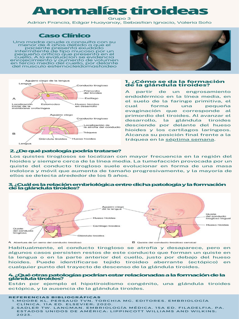 TAC4 | PDF | Tiroides | Órgano (anatomía)