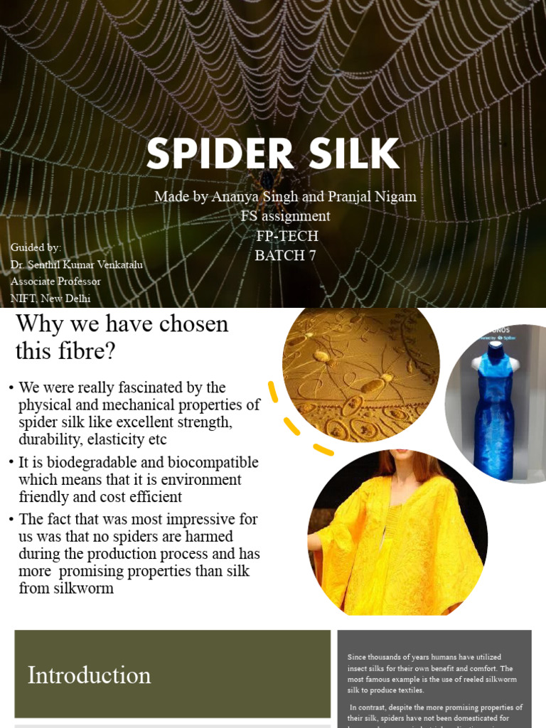Spider Silk | PDF | Silk | Strength Of Materials