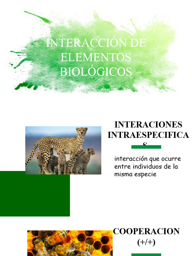 Interaccion de Elementos Biologicos | PDF