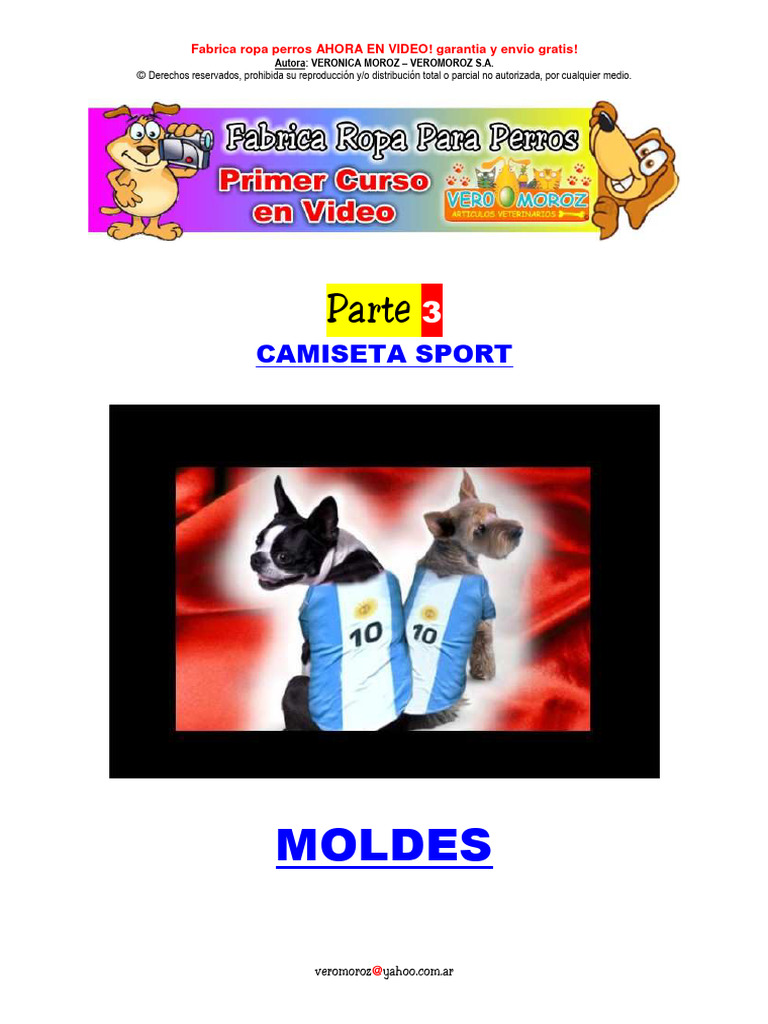 camiseta sport moldes | PDF
