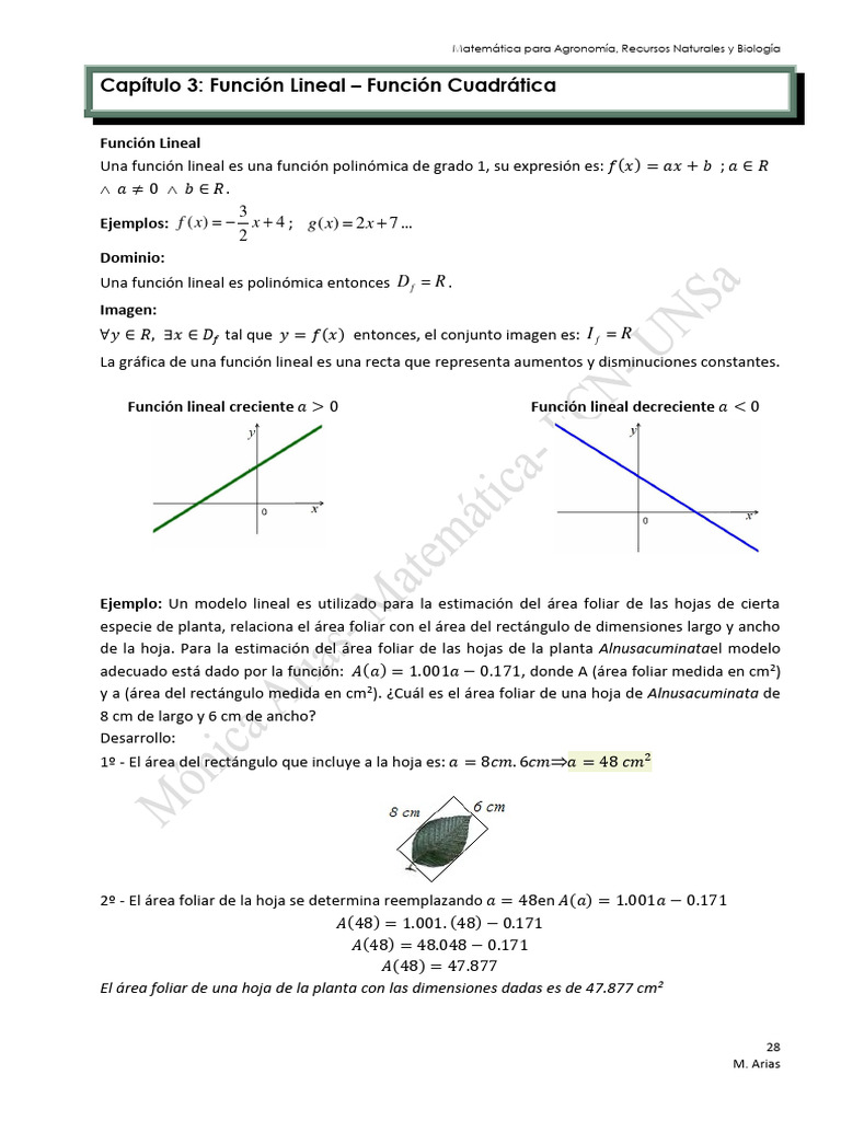 Funcion Lineal y Cuadrática | PDF | Pendiente | Función (Matemáticas)
