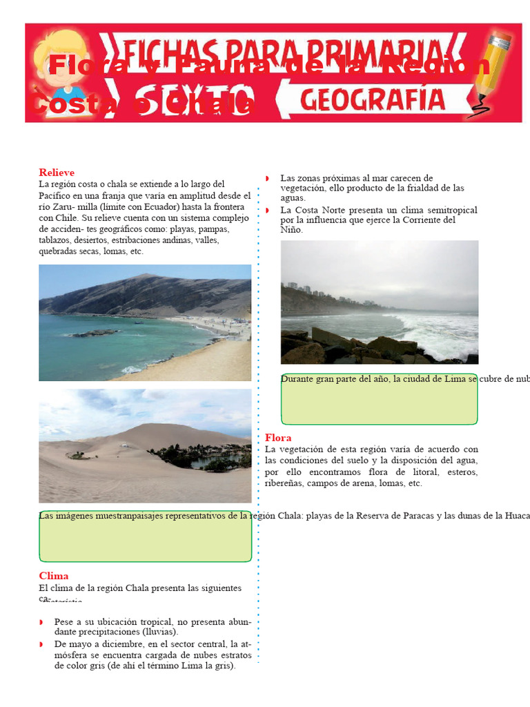 Flora y Fauna de La Región Costa o Chala Para Sexto Grado de Primaria ...