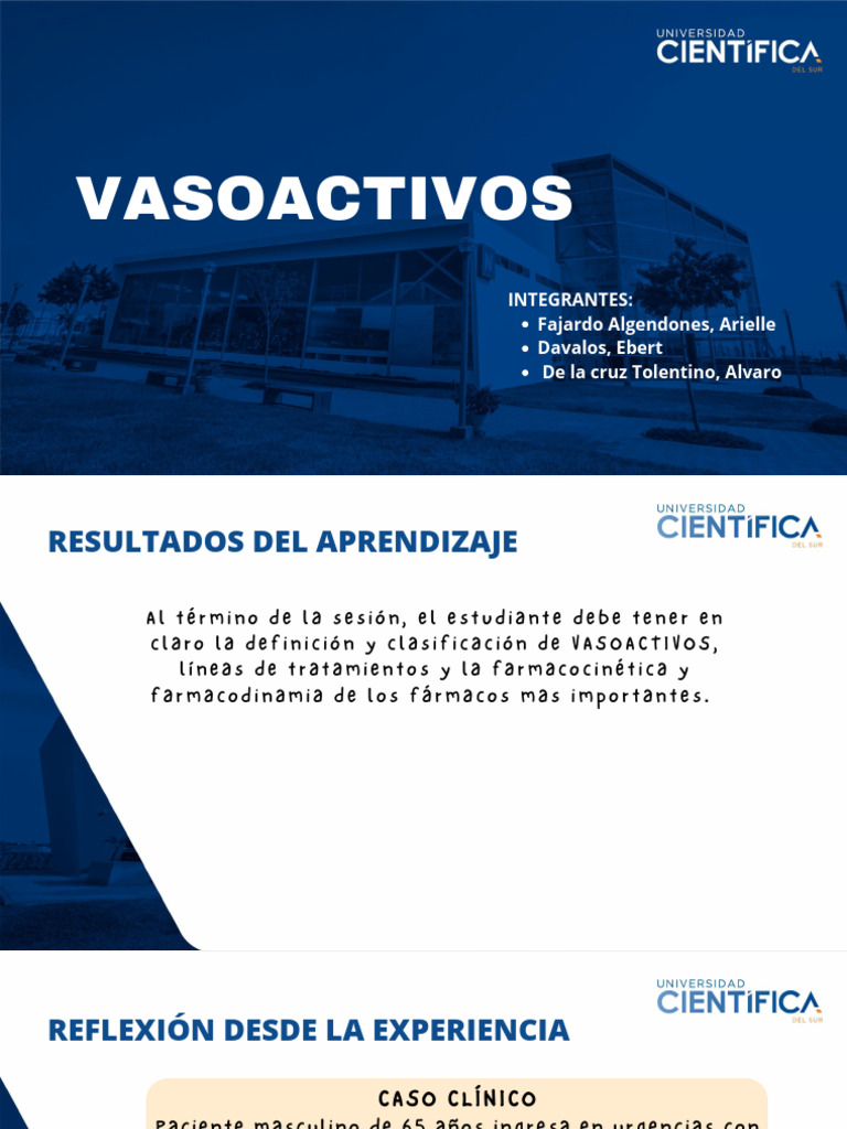Vasoactivos | PDF | Norepinefrina | Hipertensión