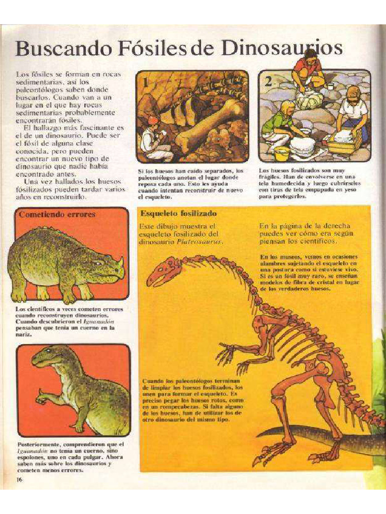 Buscando Fosiles | PDF