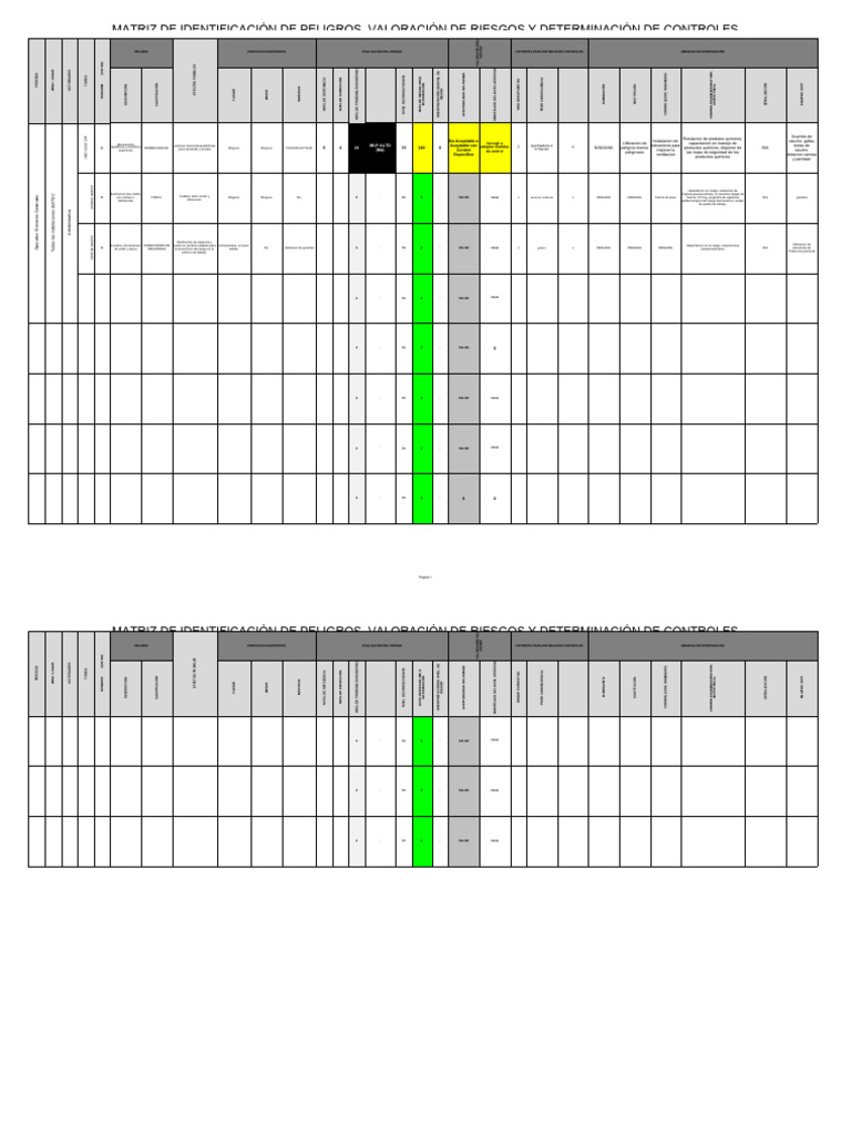 Formato Matriz de ID Peligros y Eva de Riesgos | PDF
