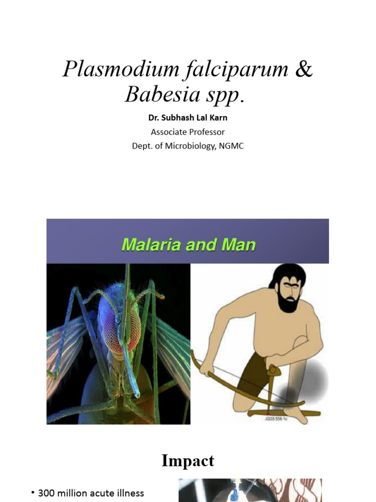 Plasmodium species | PDF | Malaria | Plasmodium Falciparum