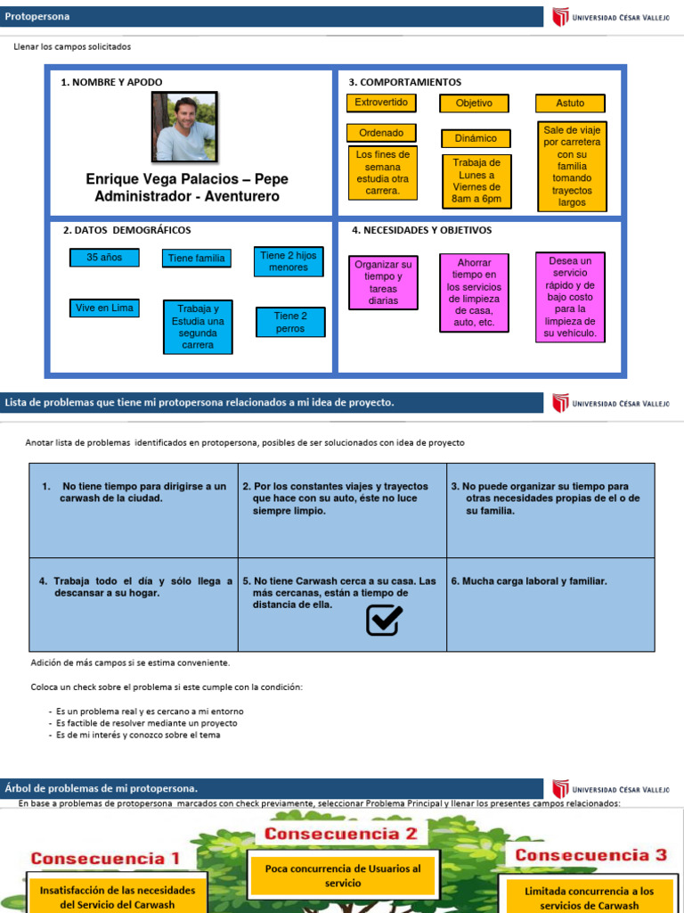 Proto Persona y Arbol de Problemas | PDF