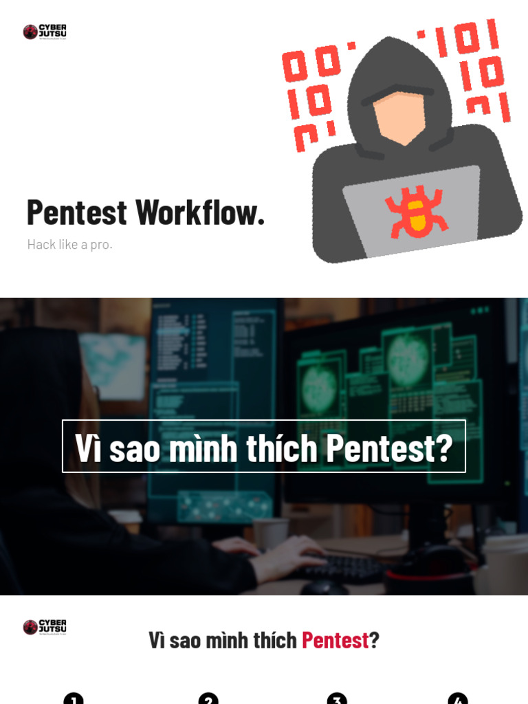 Pentester Workflow | PDF