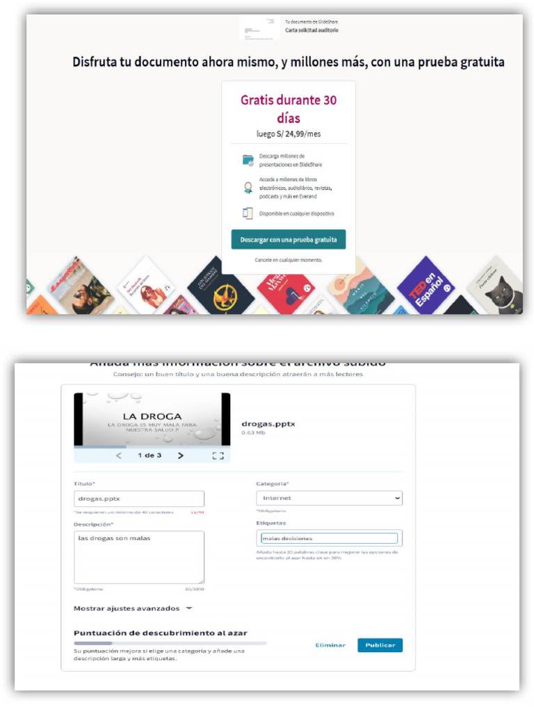 Nic Plas Rojas | PDF