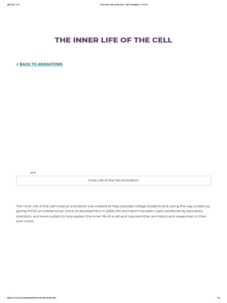 Inner Life of the Cell Animation Overview | PDF | Mitochondrion | Cell ...