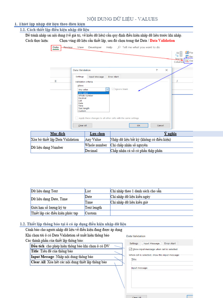4196 Ung Dung Data Validation | PDF