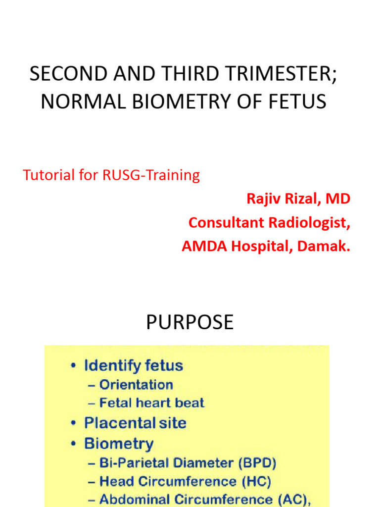 2nd and 3rd Trimester_ NORMAL BIOMETRY | PDF