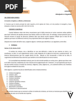Manual Del Conductor Dtop Oficial | PDF | Licencia de conducir ...