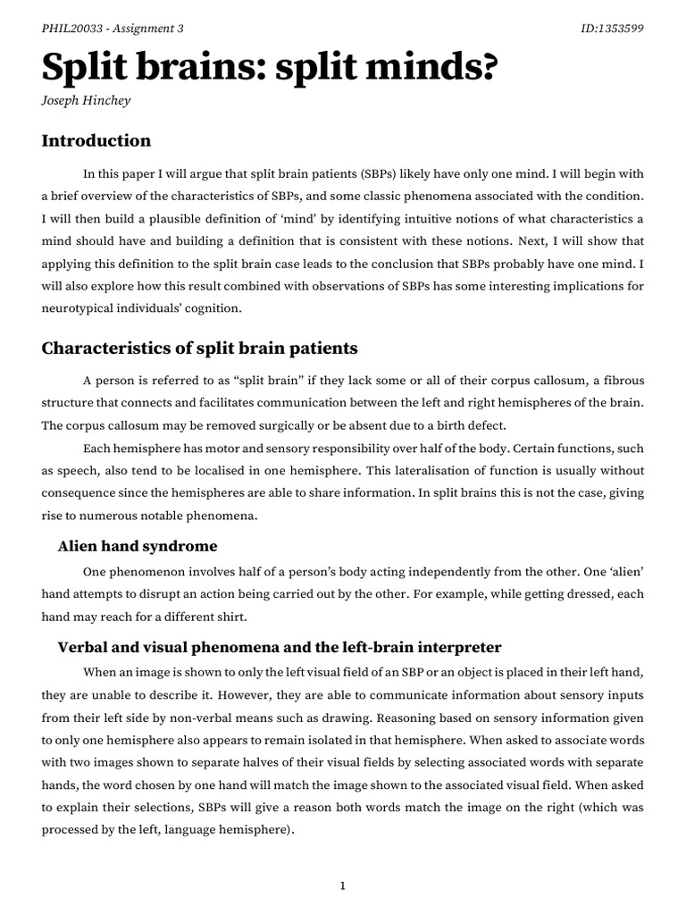 Split Brain Patients: One Mind Theory | PDF | Lateralization Of Brain ...