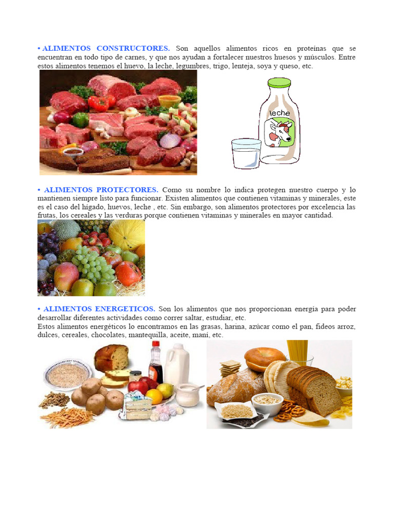 Alimentos Constructores | PDF | Salud y bienestar