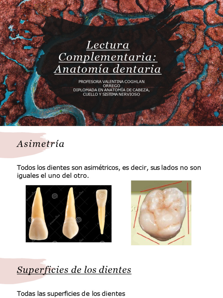 Lectura Complementaria - Anatomia Dentaria | Descargar gratis PDF ...