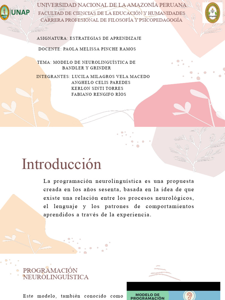 Neurolinguística (Vak) | PDF