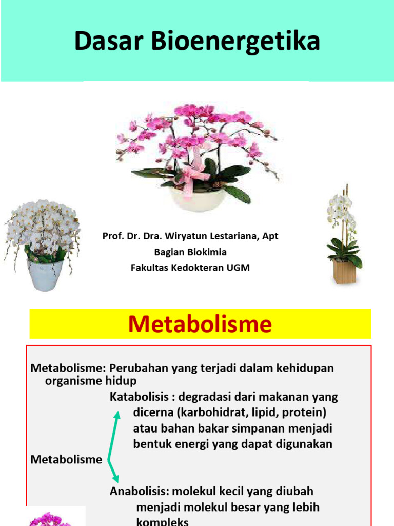Dasar-Dasar Bioenergetika dan Metabolisme | PDF