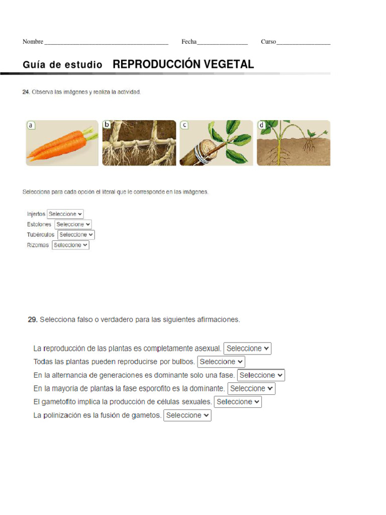 Taller Reproducción en Plantas | PDF | Negocios