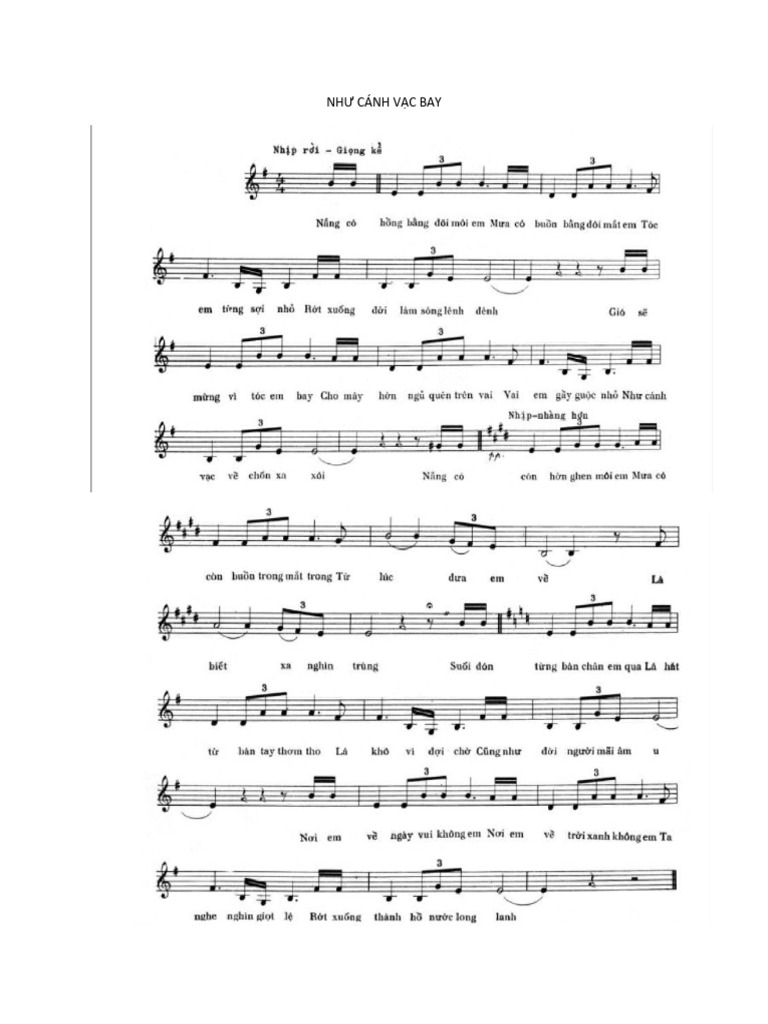 Như Cánh V C Bay | PDF