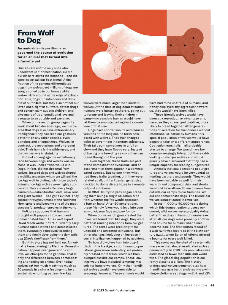 @IELTS - DR - From Wolf To Dog - #2 | PDF