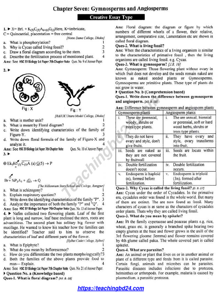 Ev HSC Biology 1 7th Chapter MCQ Question Answer | PDF