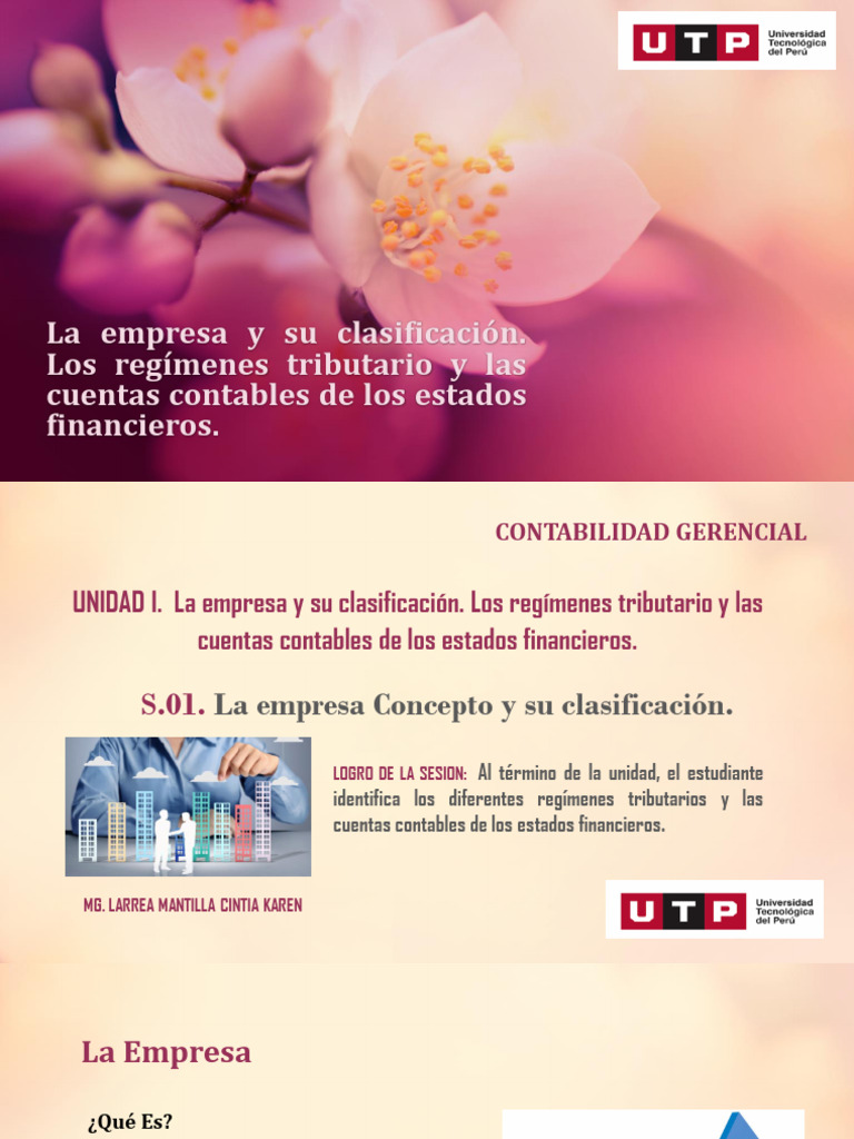 S01 s01 - Material | PDF | Business | Pequeñas y medianas empresas