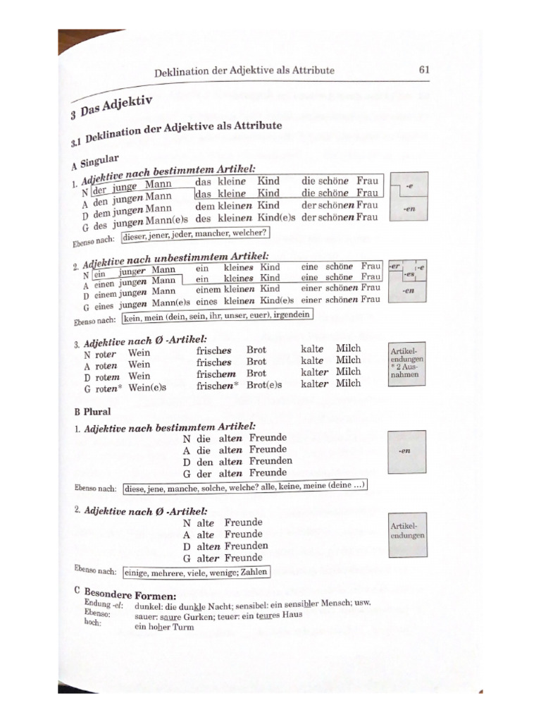 3 - 1 Deklination Der Adjektive-2 | PDF