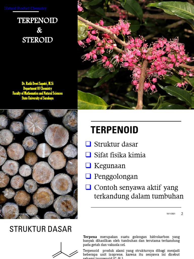 SOP-Steroid Dan Terpenoid | PDF