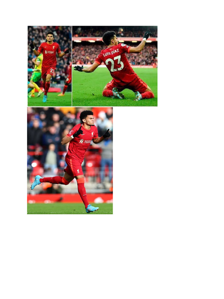 Collage de Luchoo | PDF