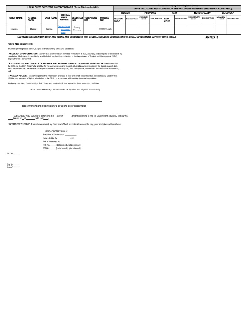 ANNEX B LGU User Registration Form | PDF | Computing | Access Control