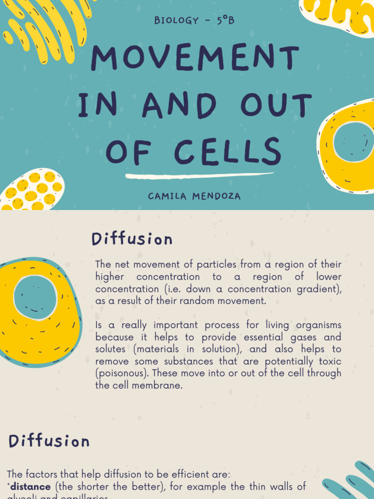 Biology - Unit 3 Movement in Cells | PDF | Osmosis | Diffusion