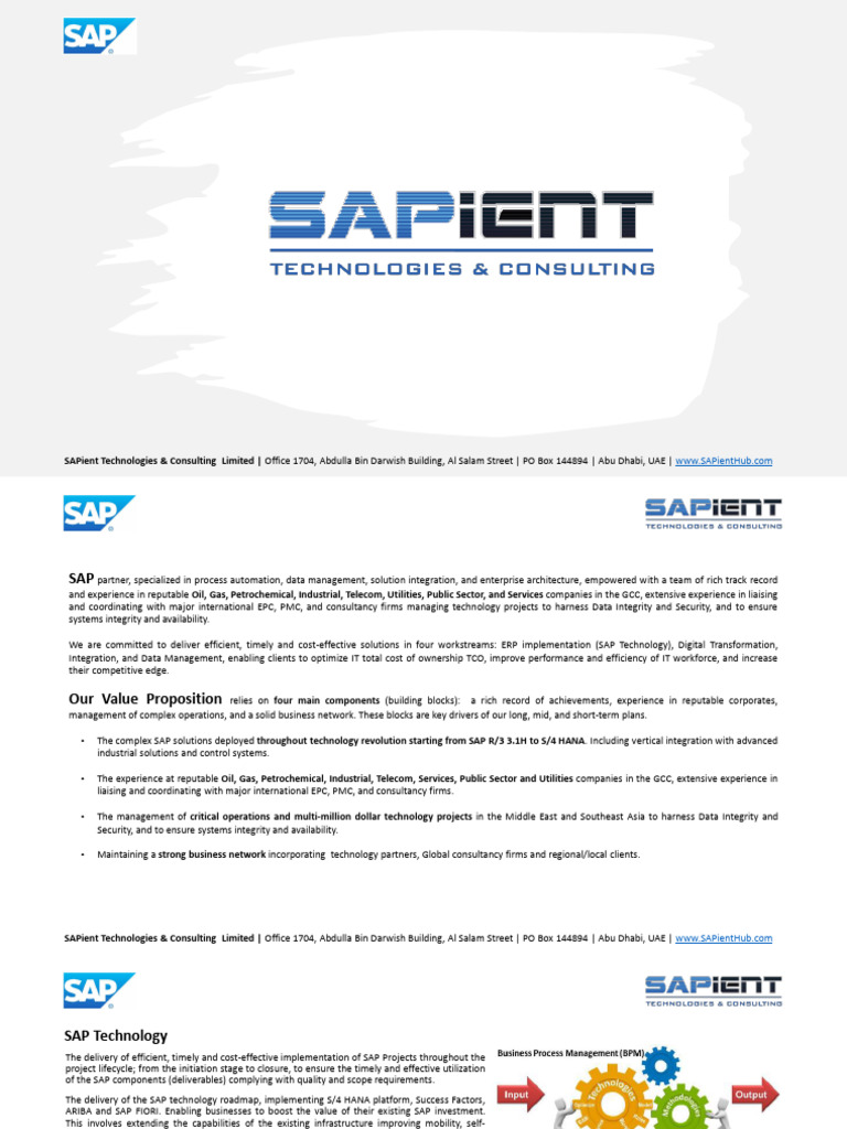 SAPient - Company Profile | PDF | United Arab Emirates | Enterprise ...