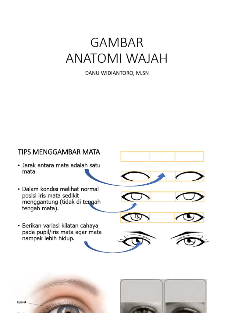ANATOMI WAJAH | PDF