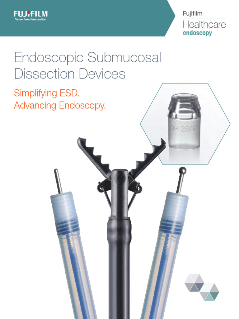 ESD Product Catalog DOC-0046776-B | PDF | Clinical Medicine | Medical ...