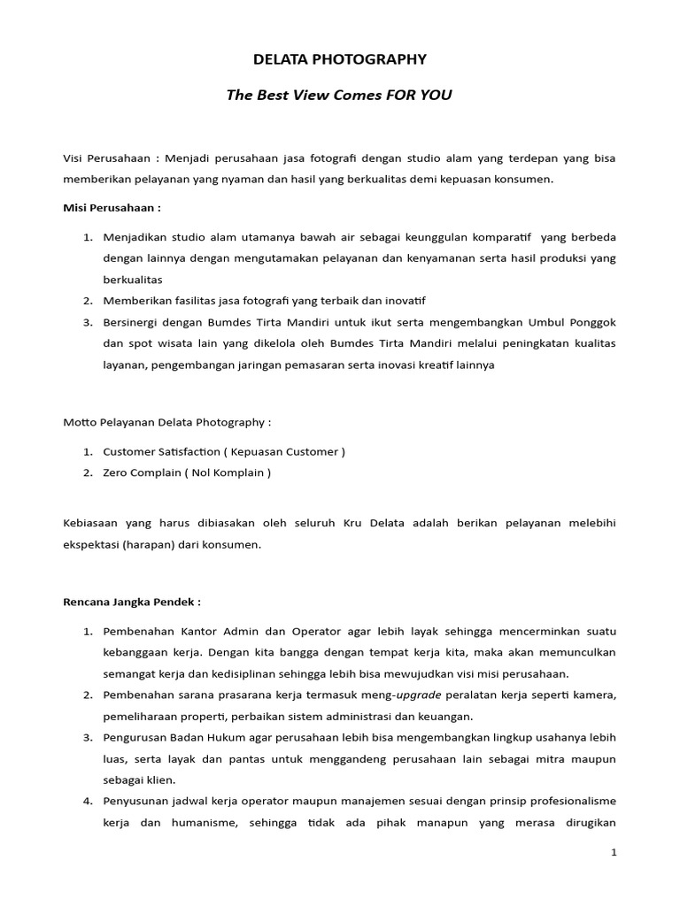 Materi Briefing Delata | PDF